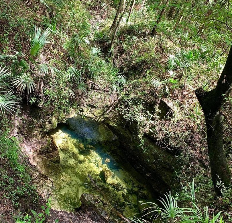 Springs – Visit Hamilton FL